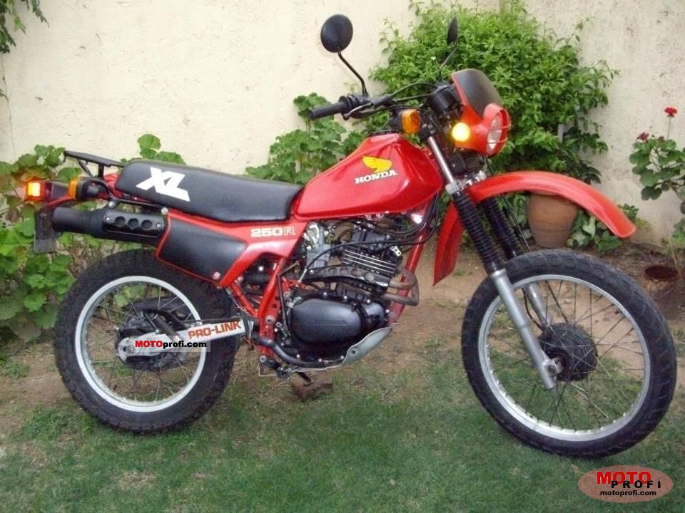 1984 HONDA XL250R Image 4